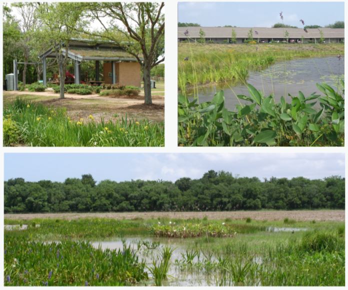 Green Infrastructure Field Day - Texas Citizen Planner Program